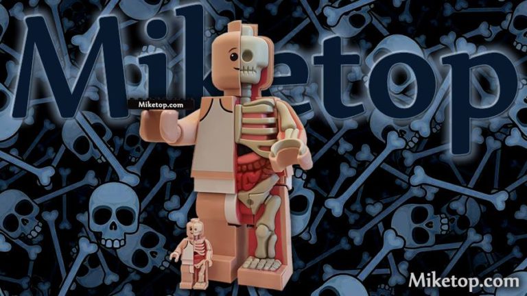 Anatomy – Limited Edition – Miketop